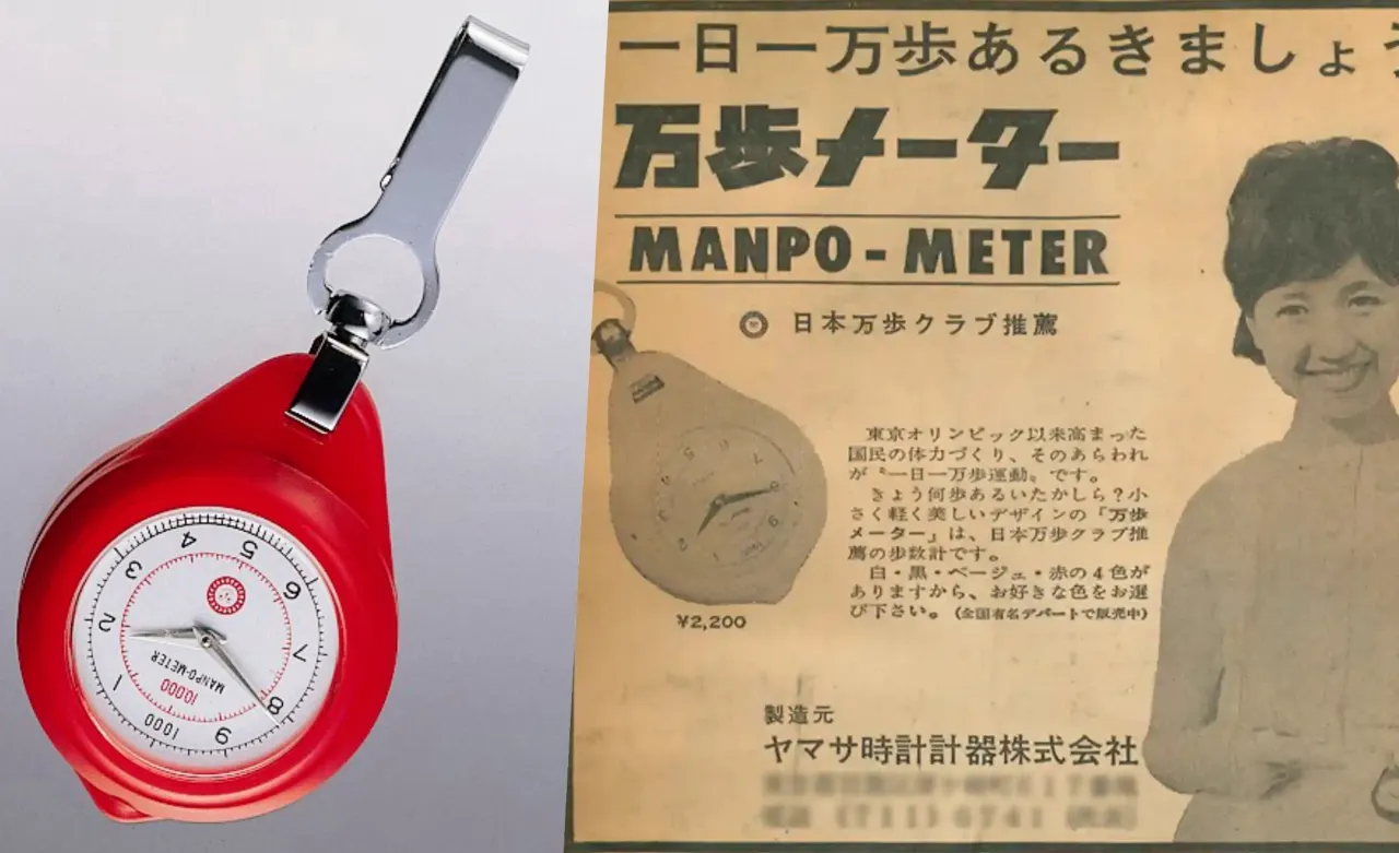 Steps to Miles Calculator: Convert Daily Steps to Distance